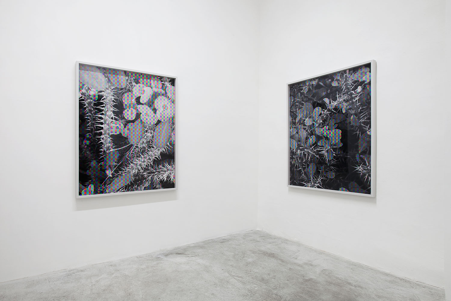 Damon Zucconi Veda / Firenze | | Flash Art