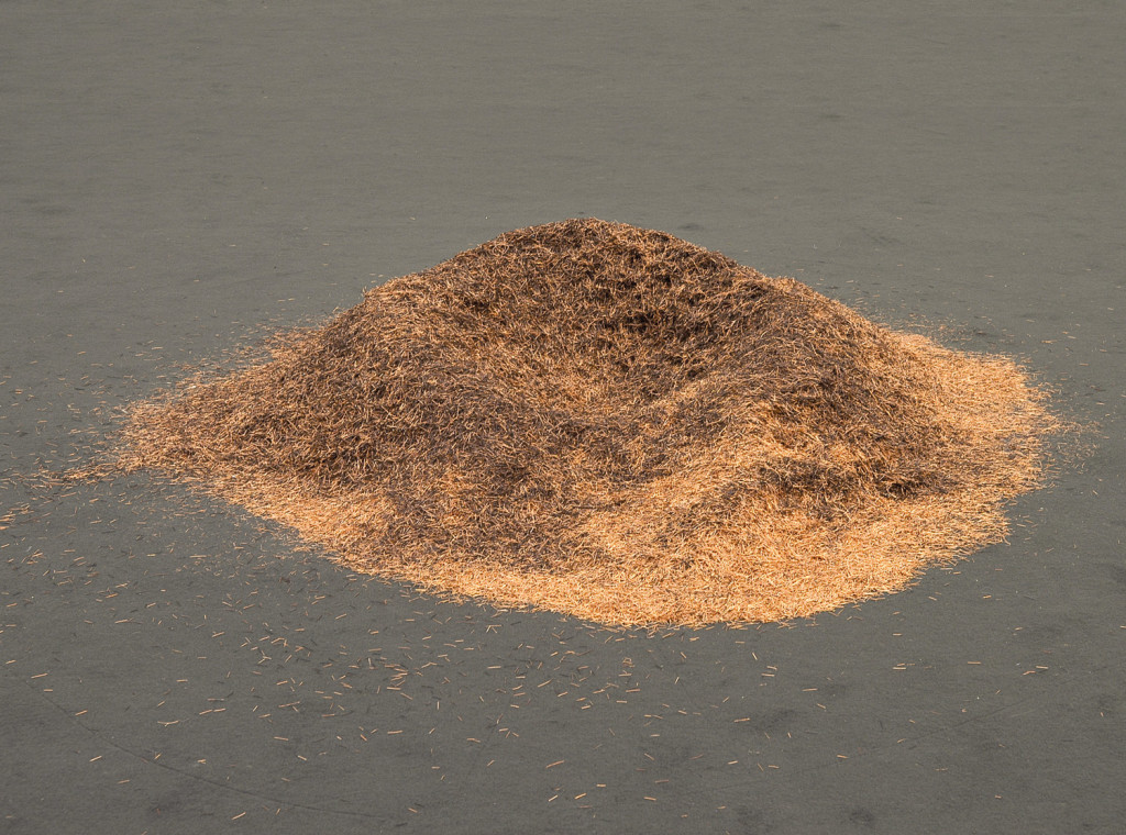 Micol Assaël | | Flash Art