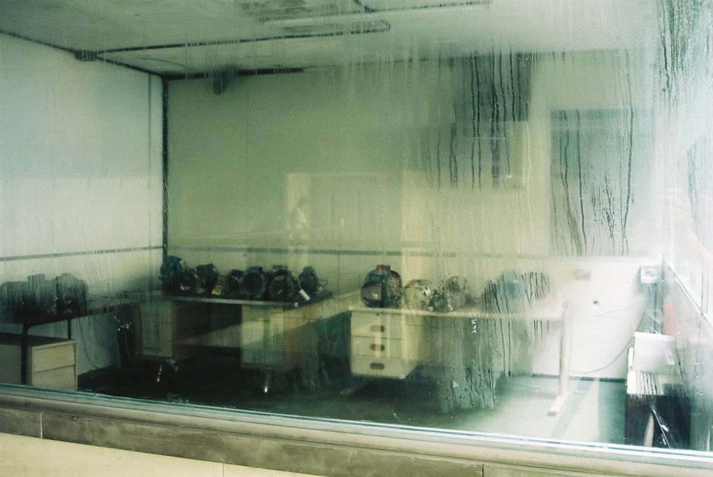 Micol Assaël | | Flash Art