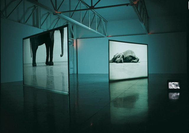 Douglas Gordon | | Flash Art
