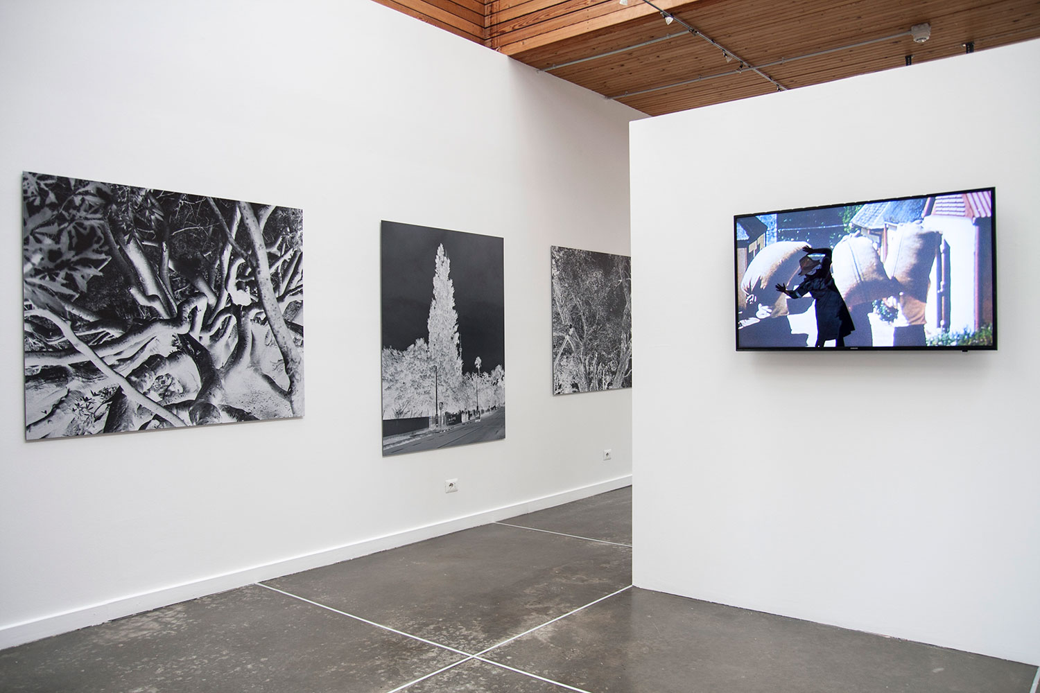 Uriel Orlow PAV Parco Arte Vivente / Torino | | Flash Art