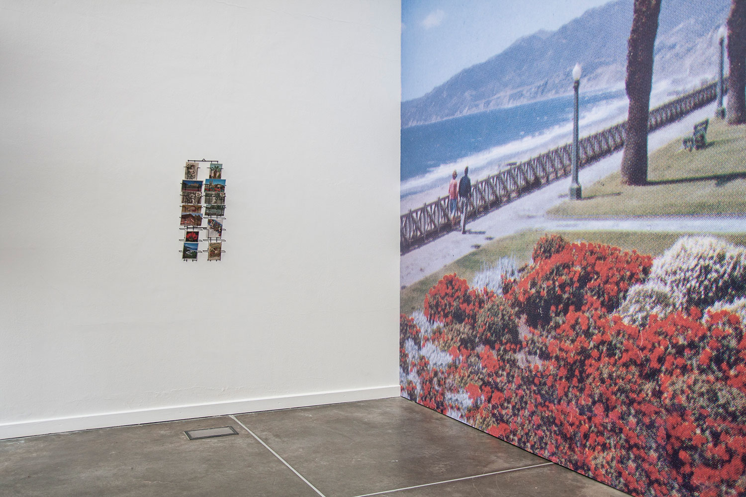 Uriel Orlow PAV Parco Arte Vivente / Torino | | Flash Art