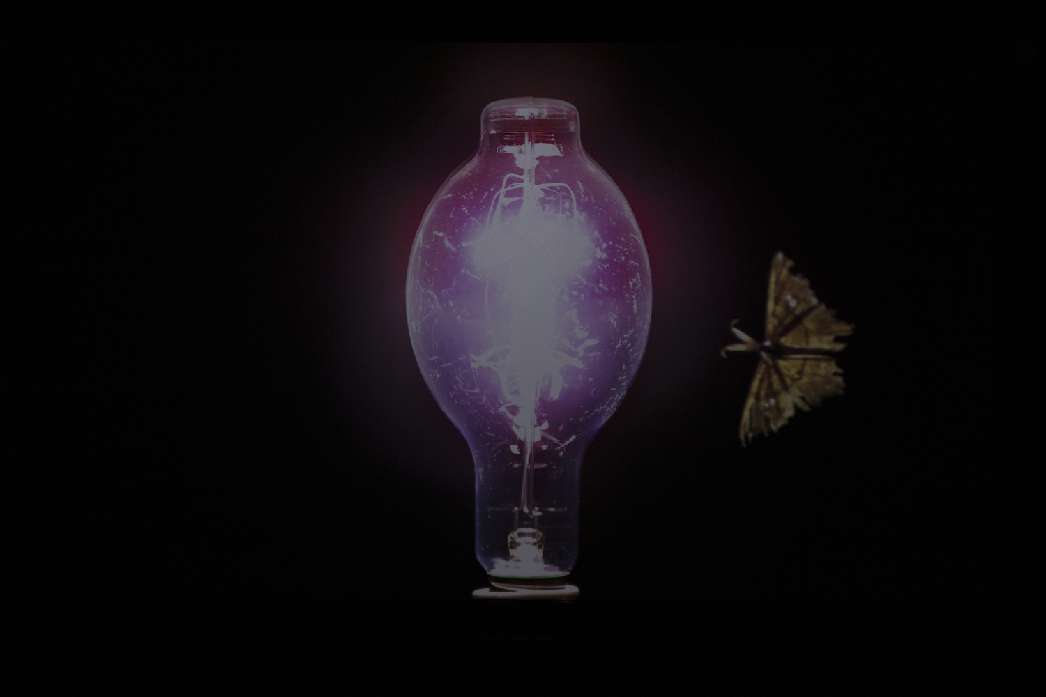 Henrik Håkansson "BLINDED BY THE LIGHT" Galleria Franco Noero / Torino ...